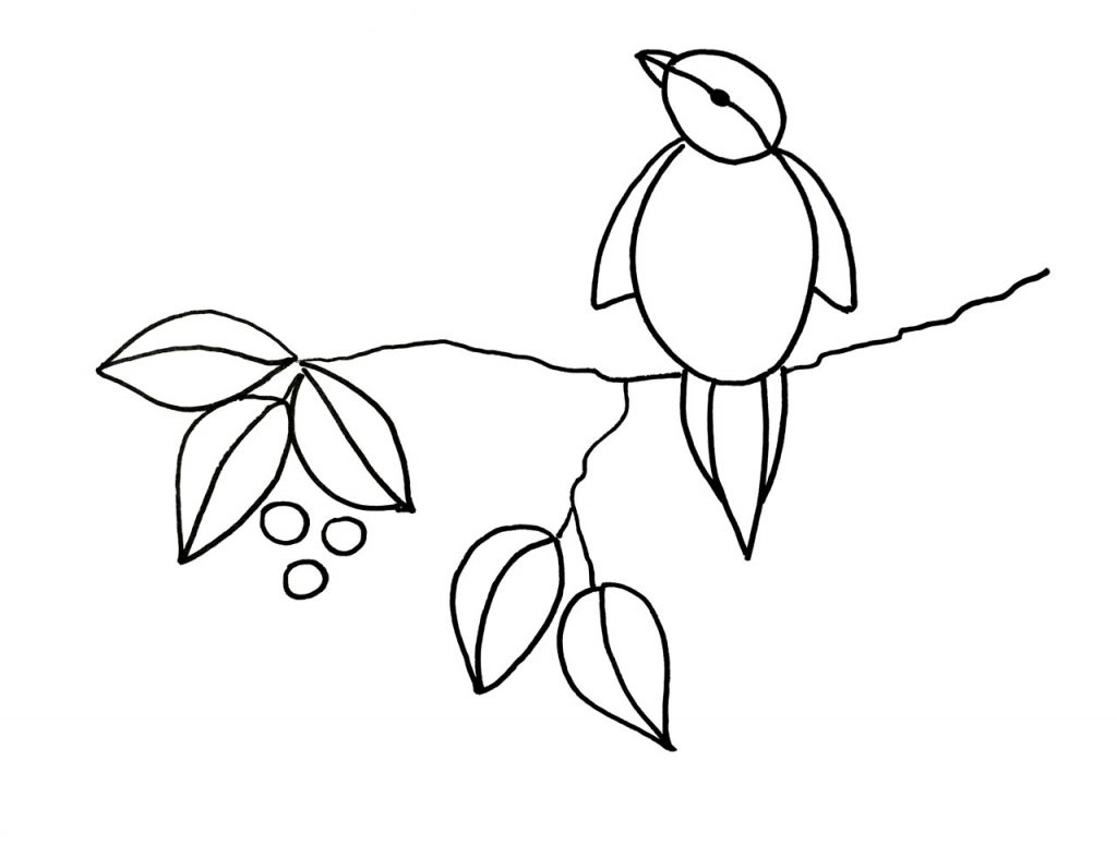 Diseñar Aves